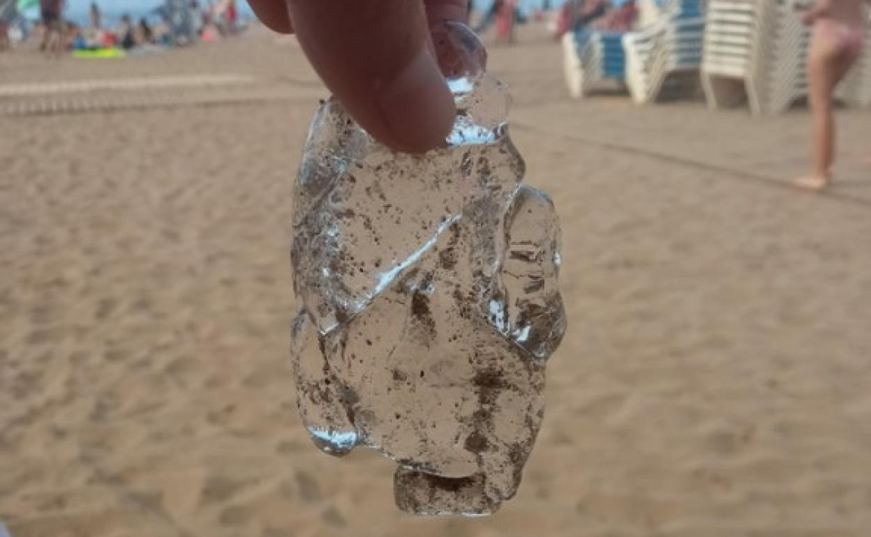 Salpas: Vuelven las 'medusas buenas' a las playas de Gipuzkoa | El Diario Vasco